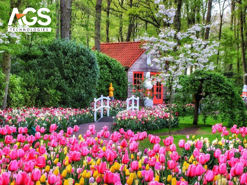 Thiết Kế Đường Hoa Tulip: Nghệ Thuật Kiến Tạo Không Gian Đẳng Cấp