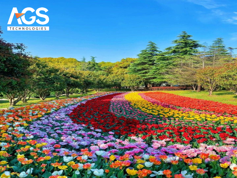 Thiết Kế Đường Hoa Tulip: Nghệ Thuật Kiến Tạo Không Gian Đẳng Cấp